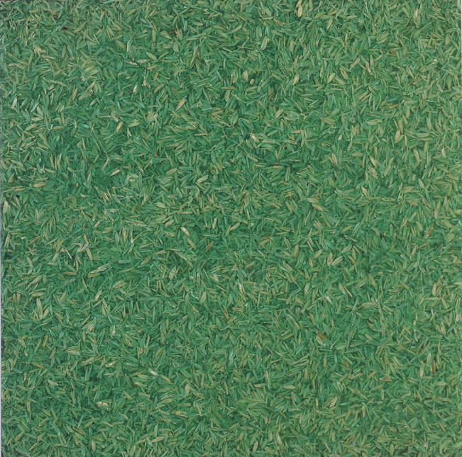 Timbermate-HMT Industries Corp.